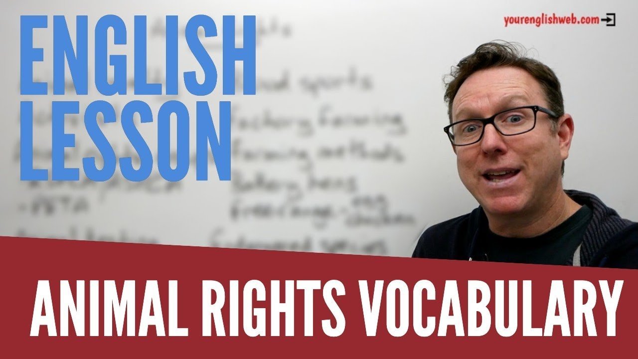 Animal Rights Vocabulary For English Learners Animal Rights Vocabulary For English Learners